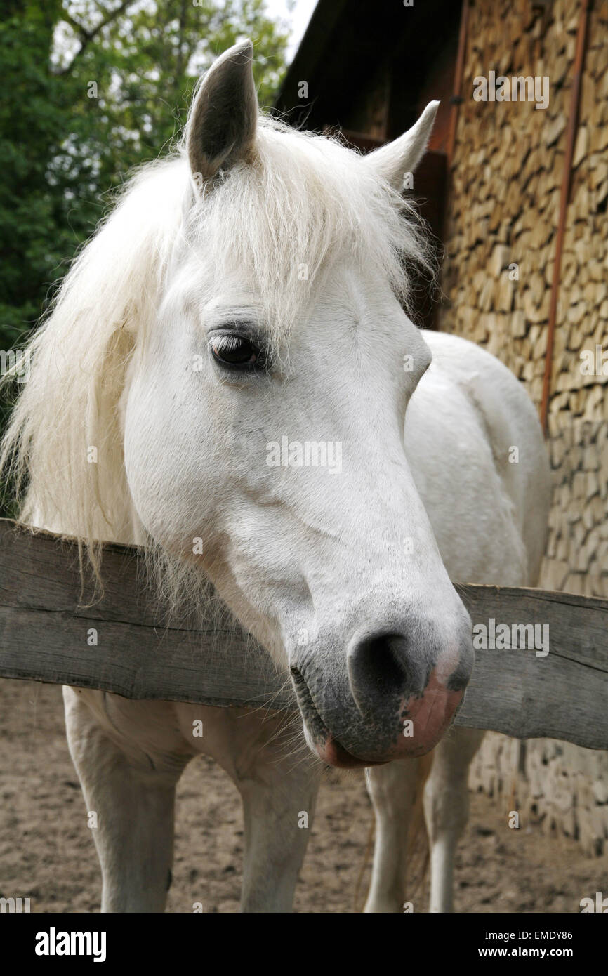 Pretty profile sideview hi-res stock photography and images - Alamy