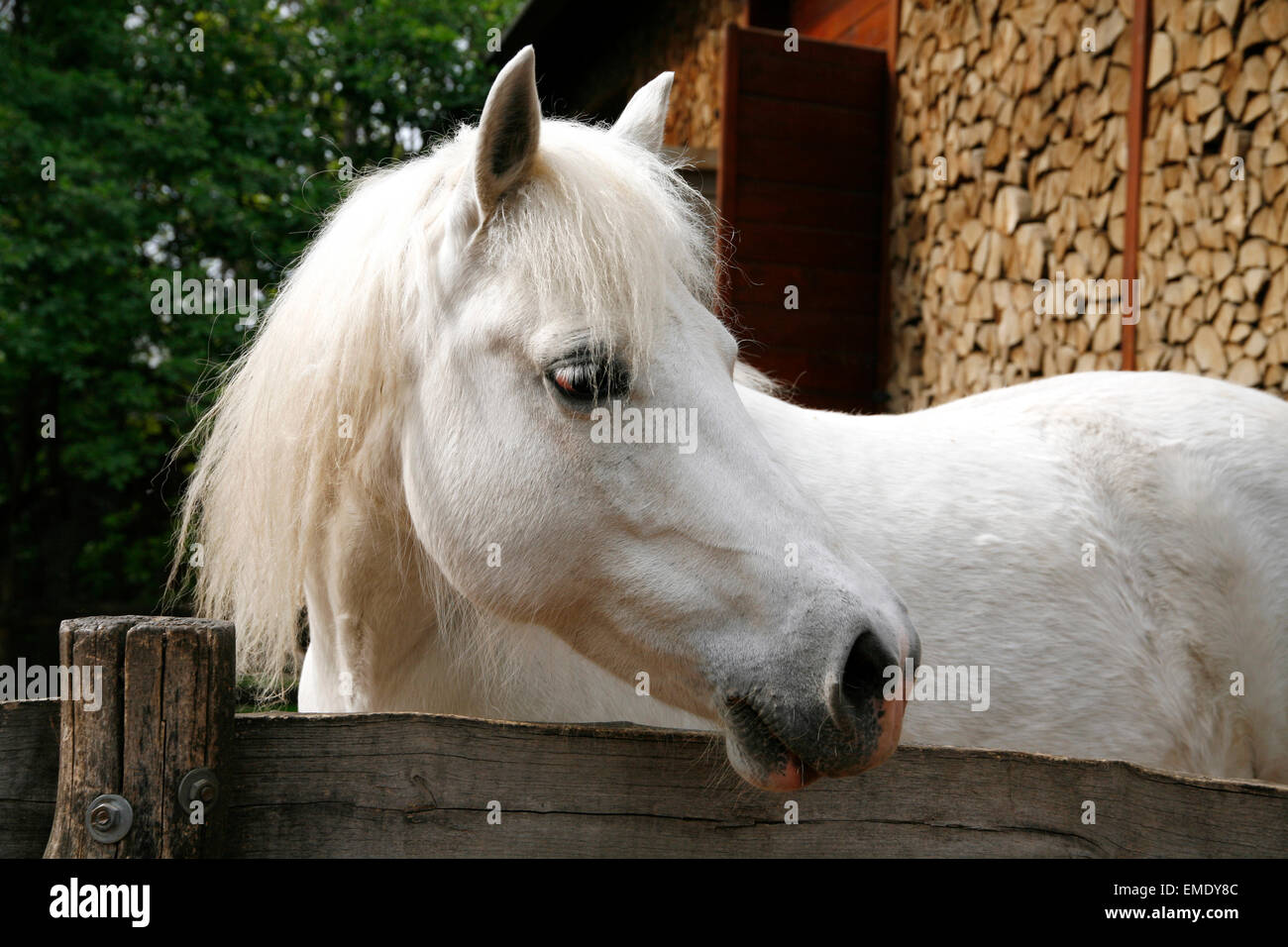 Pretty profile sideview hi-res stock photography and images - Alamy