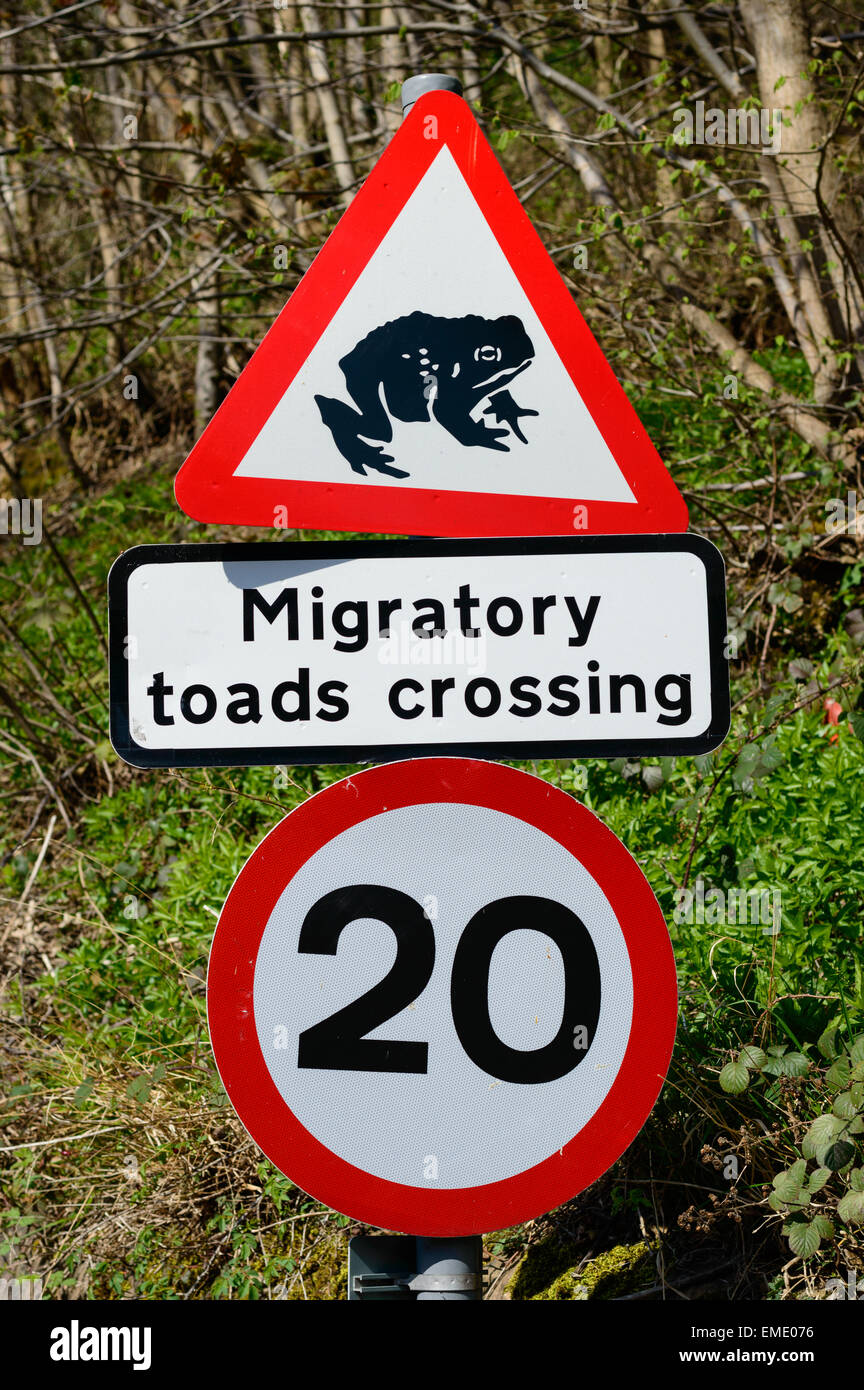 Traffic sign caution toad crossing hi-res stock photography and images ...
