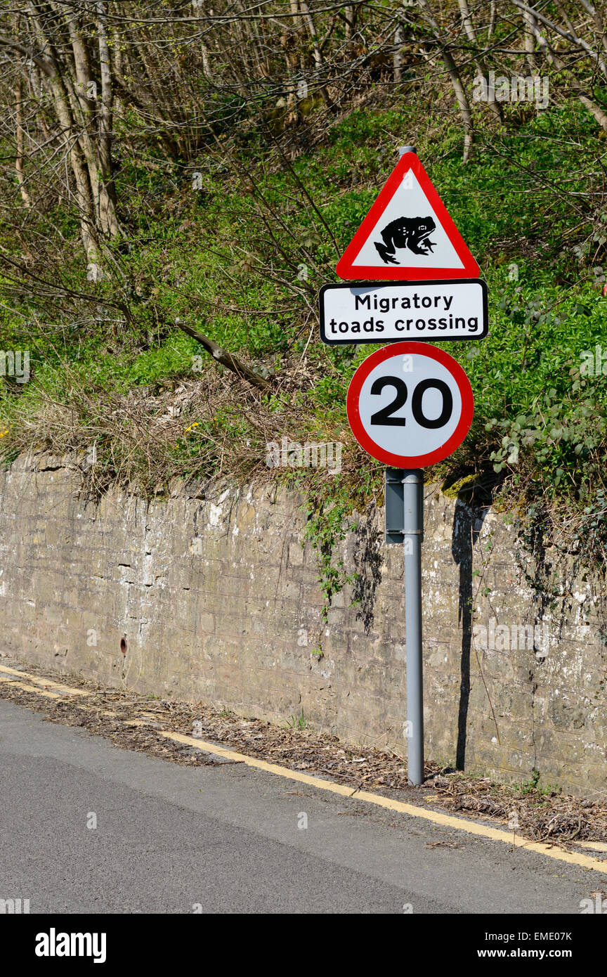 A road sign warns drivers to beware of migratory toads crossing the ...