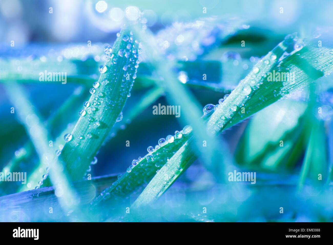 Creative nature photography Stock Photo - Alamy