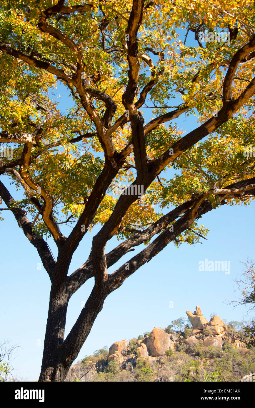 Granite dwala hi-res stock photography and images - Alamy