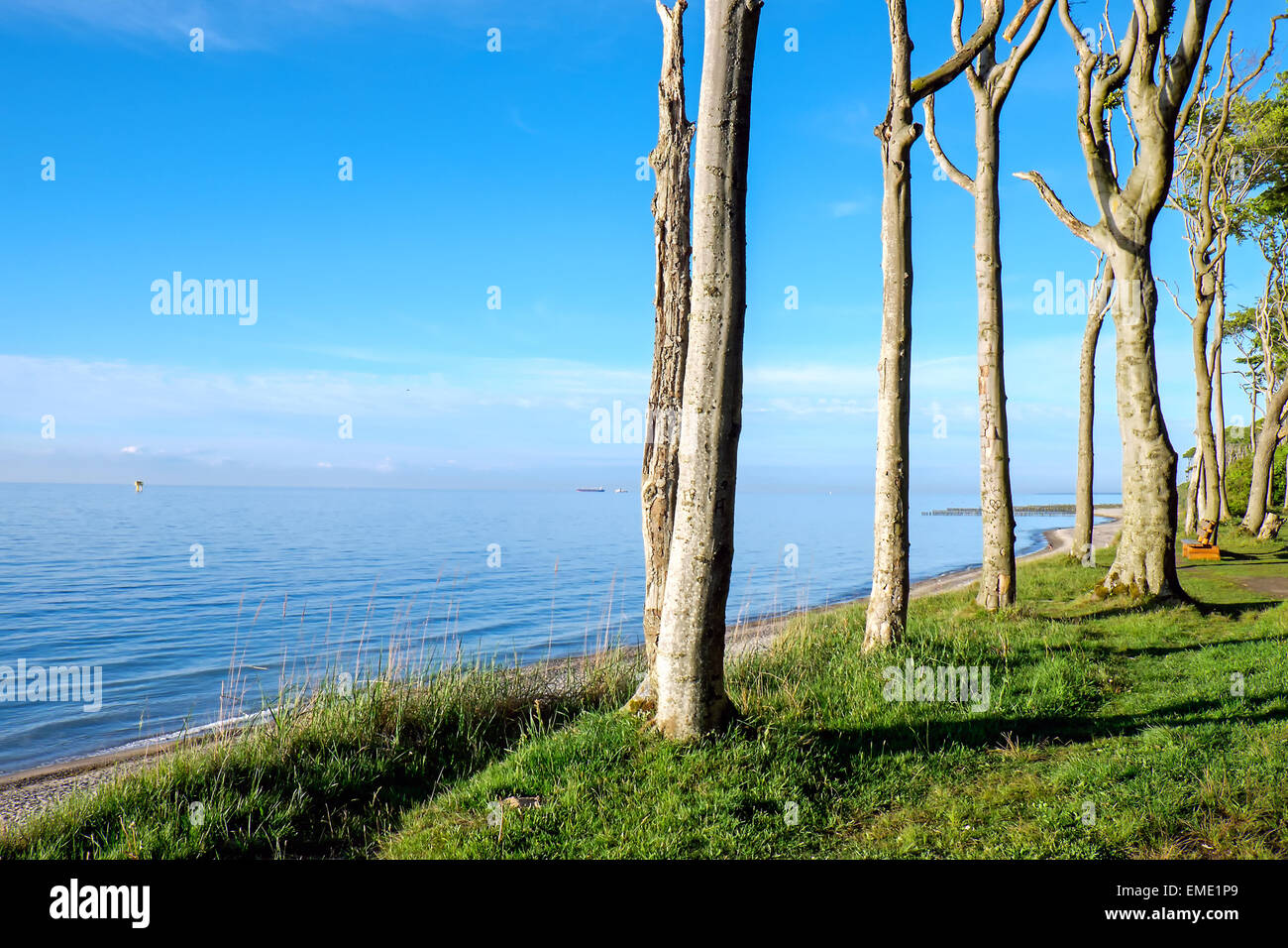 Ocean beech hi-res stock photography and images - Alamy