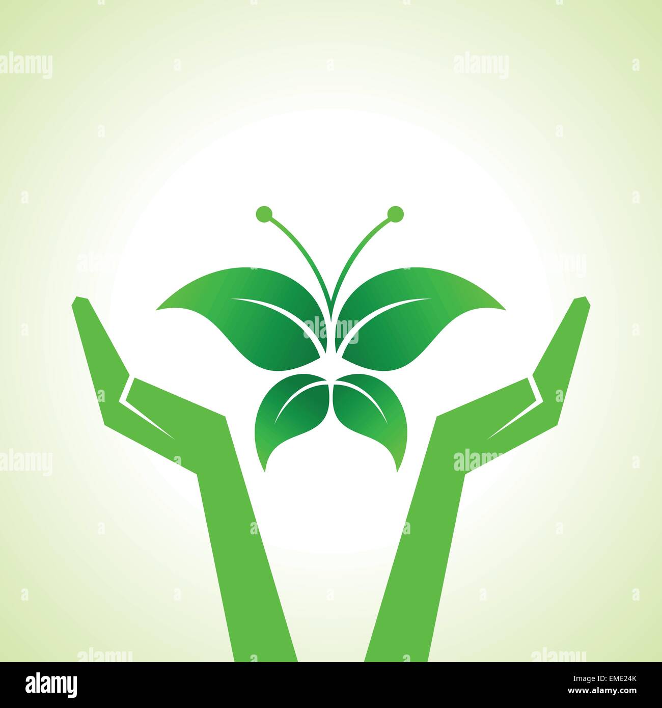 Butterfly green wings isolated Stock Vector Images - Alamy