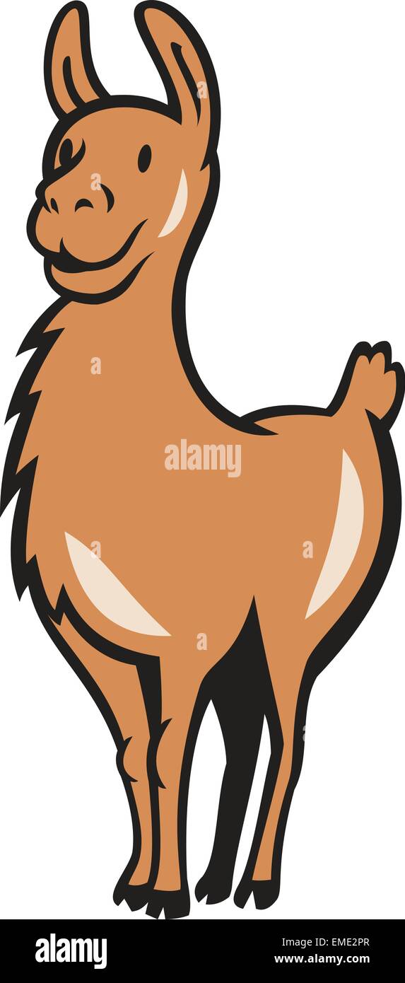 Llama standing Stock Vector Images - Alamy