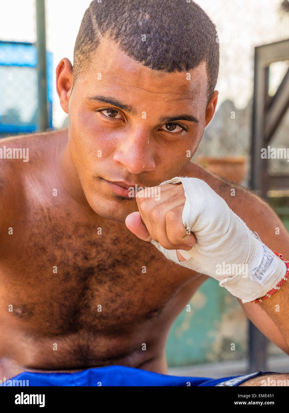 Cuban boxers in training in Havana, Cuba Stock Photo - Alamy
