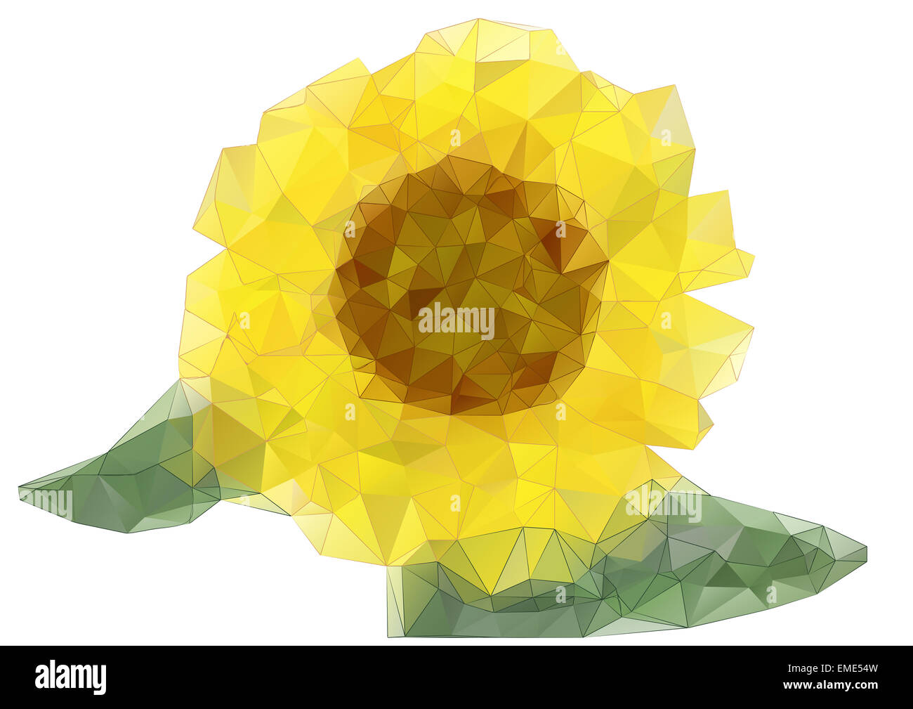 Sunflower drawing hi-res stock photography and images - Alamy