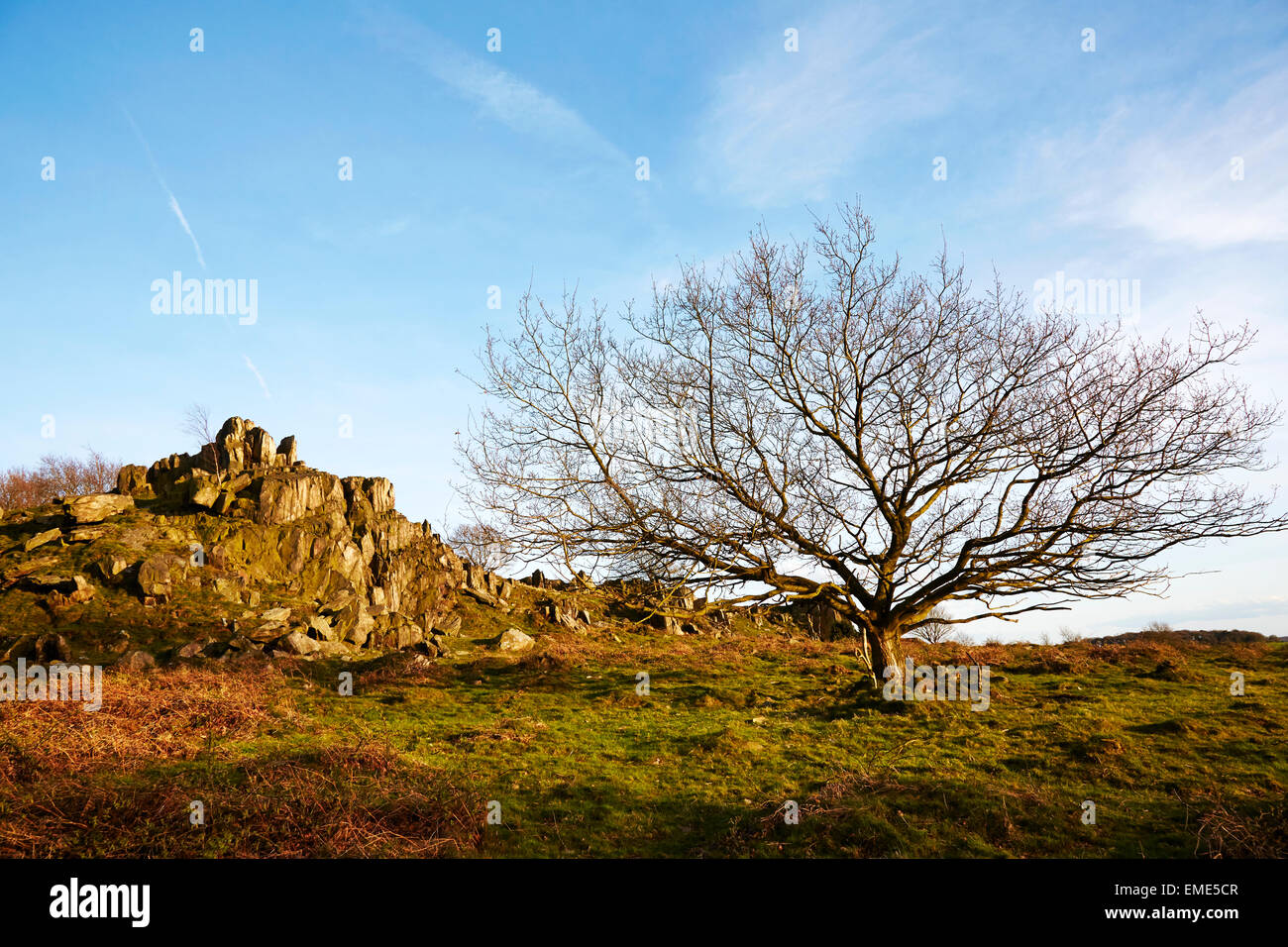 View of the countryside at Beacon Hill Country Park, Leicestershire ...