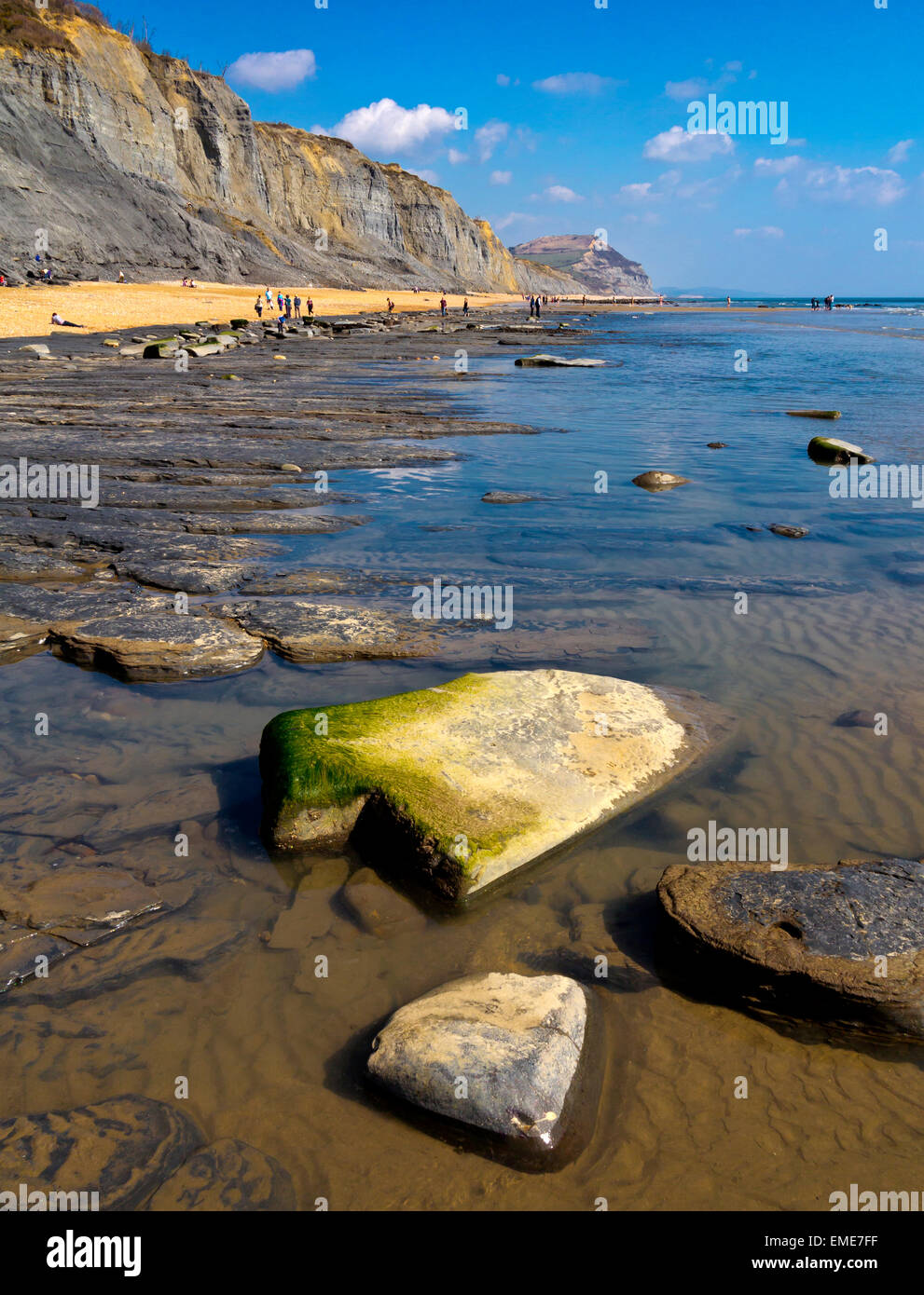 The beach on the Jurassic Coast World Heritage Site at Charmouth West ...
