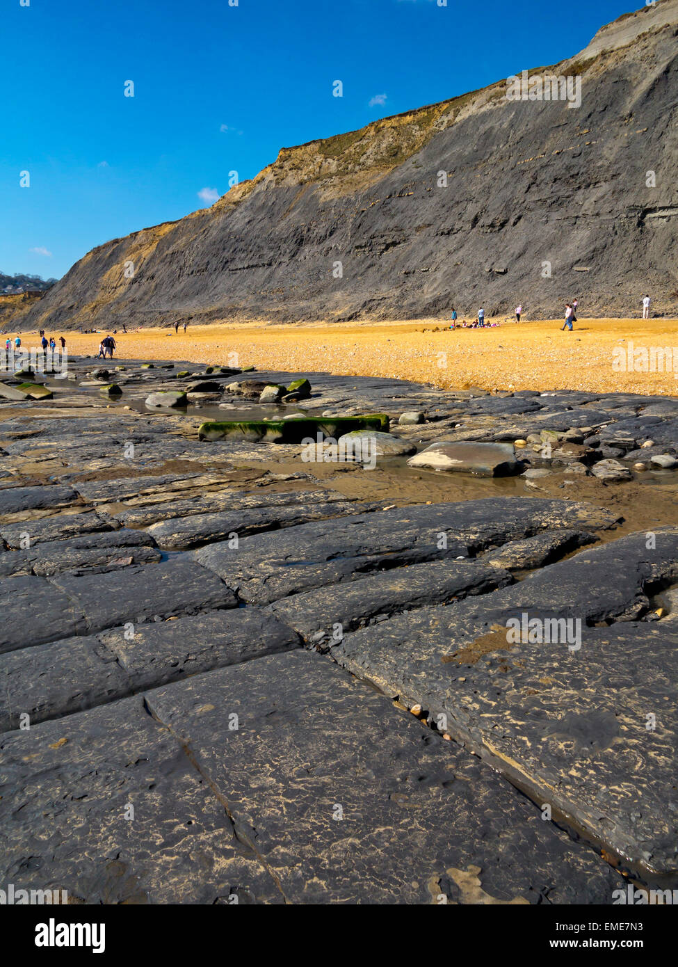 Wave cut platform on the beach at the Jurassic Coast World Heritage ...
