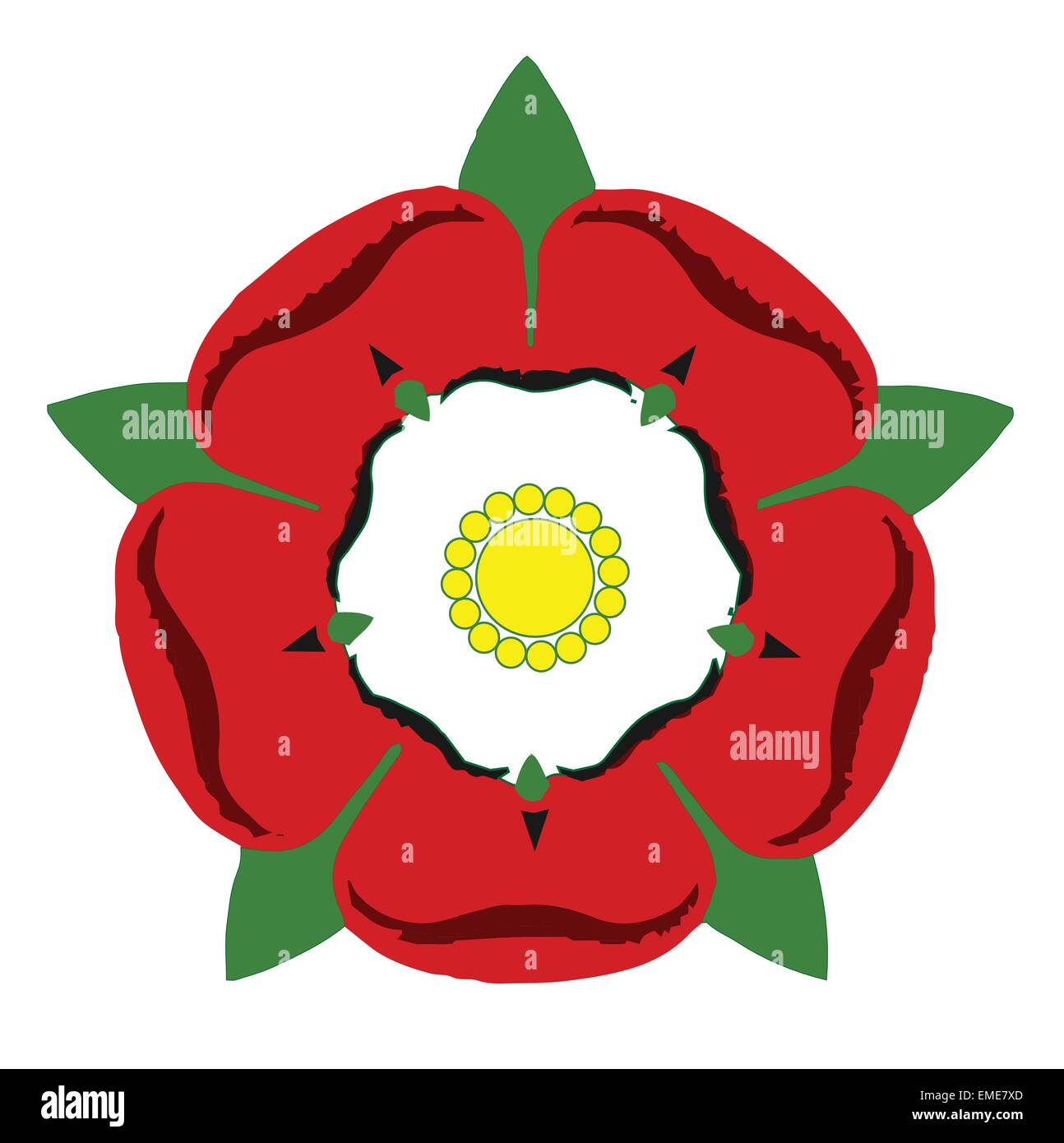 War of the Roses Stock Vector Image & Art - Alamy