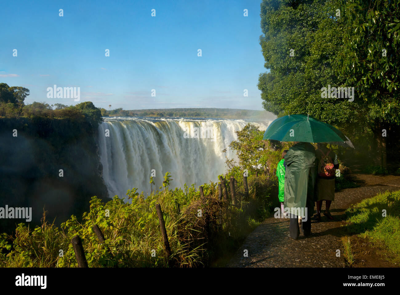 Victoria falls zimbabwe rainforest hi-res stock photography and images ...