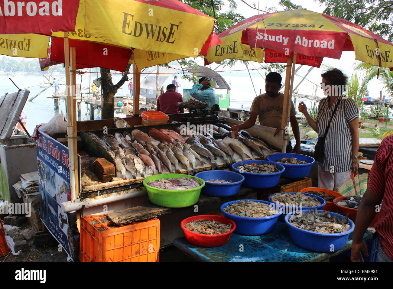A fresh fish stall on the waterfront of Fort Cochin Stock Photo - Alamy