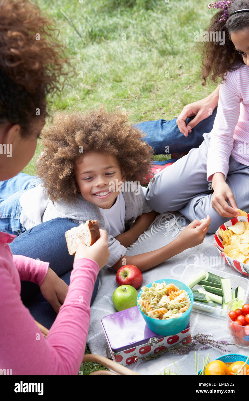 Family Having Picnic In Countryside Stock Photo - Alamy