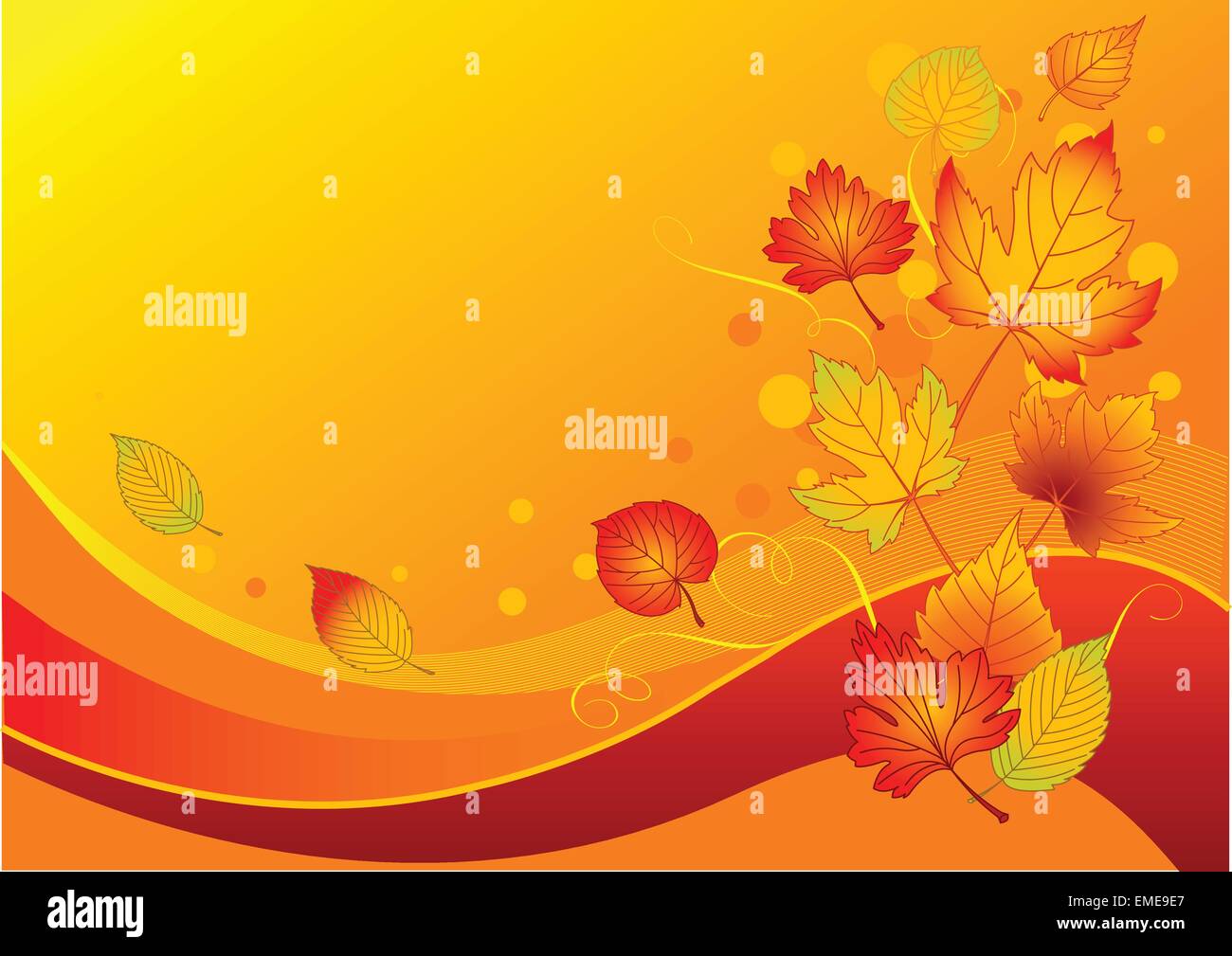 Cartoon autumn leaves Stock Vector Images - Alamy