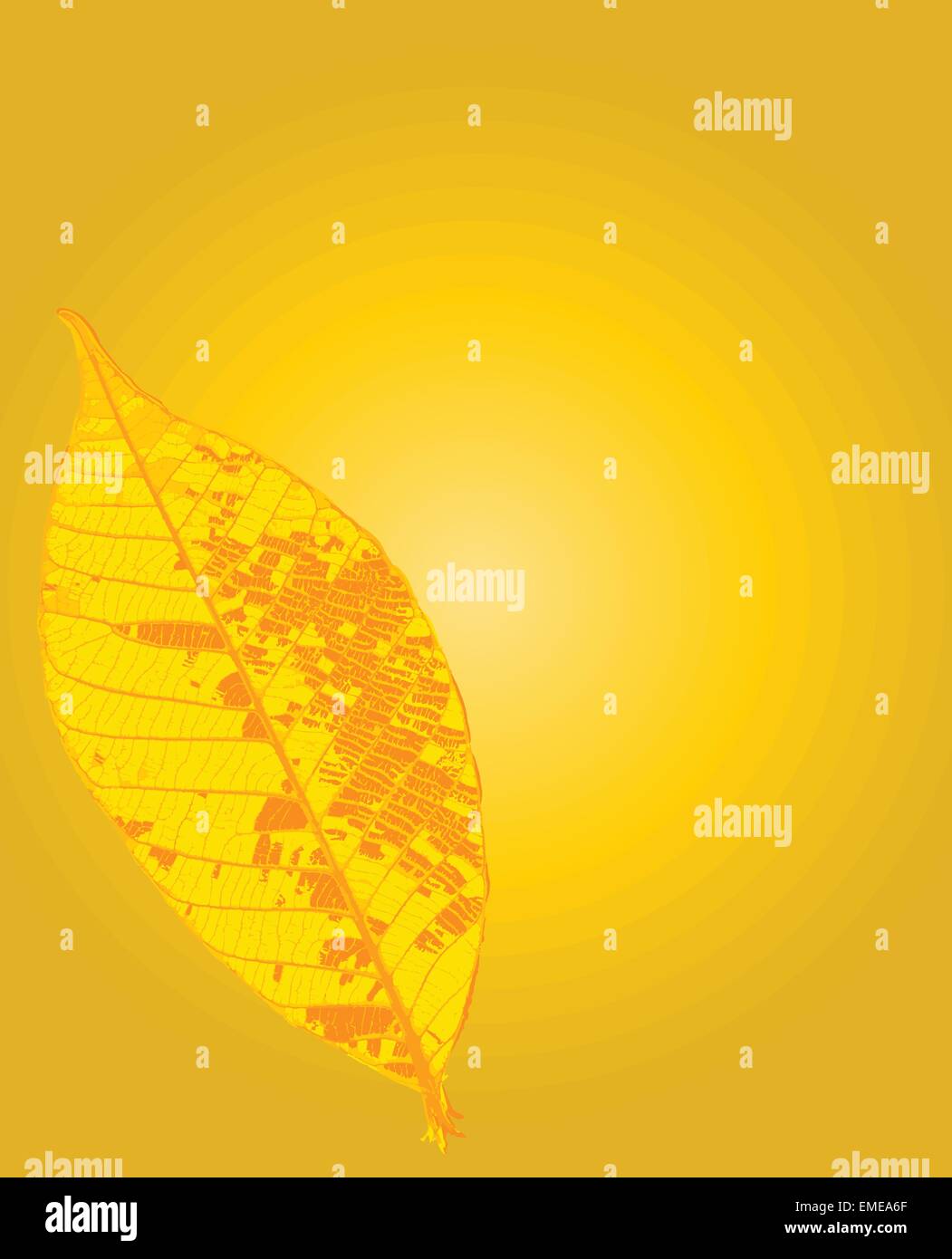 Autumn leaf background Stock Vector Images - Alamy