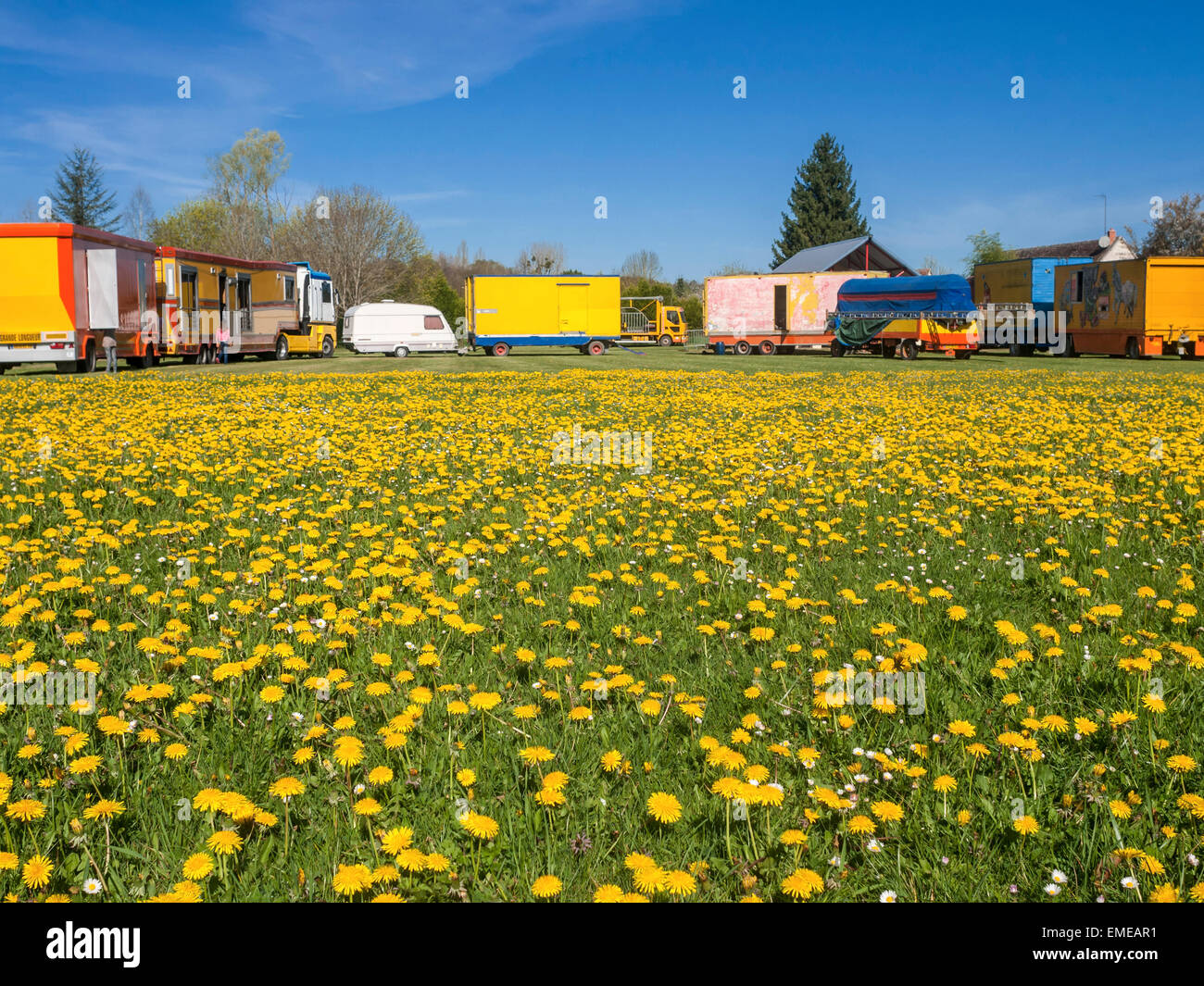 Field of Dandelions and circus - France Stock Photo - Alamy