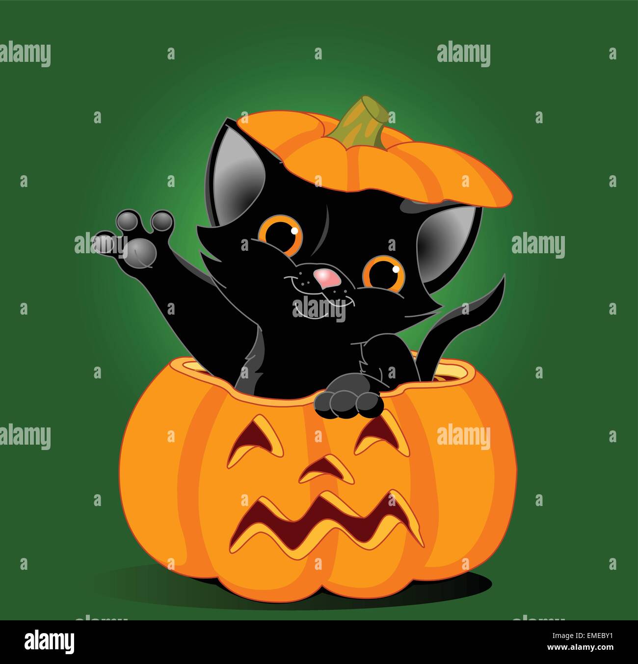 Cute cat in box Stock Vector Images - Alamy