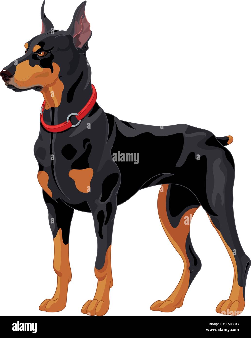 Animals dog dogs Stock Vector Images - Alamy