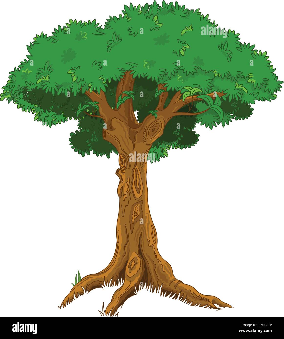 Old majestic tree Stock Vector Images - Alamy Old majestic tree Stock Vector Images - Alamy