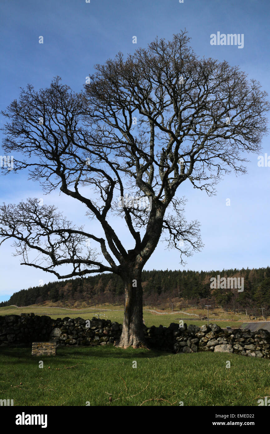 Knock Castle Scotland High Resolution Stock Photography and Images - Alamy