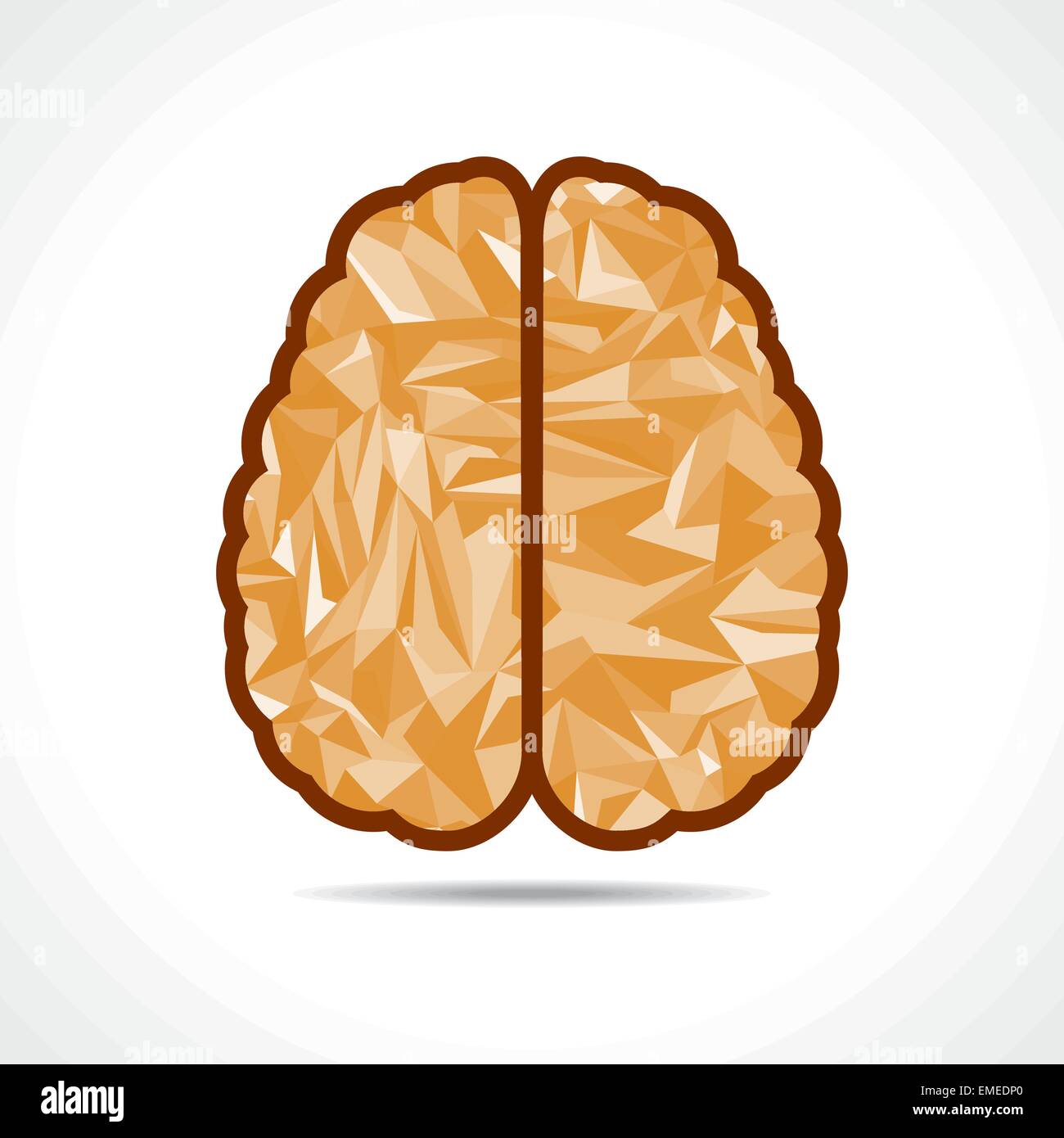 Brain triangle Stock Vector Images - Alamy
