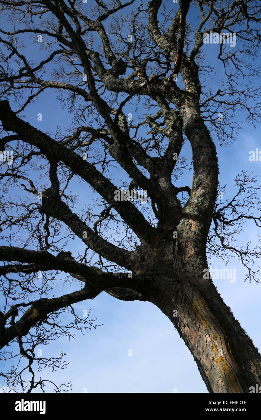 Knock Castle Scotland High Resolution Stock Photography and Images - Alamy