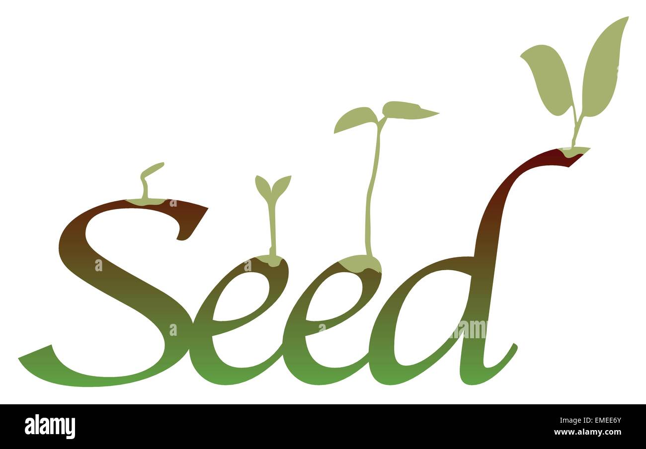 The seed seeds Stock Vector Images - Alamy