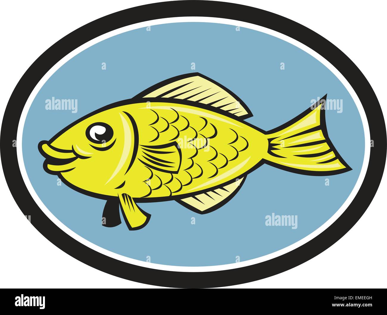 Fish side view hi-res stock photography and images - Alamy