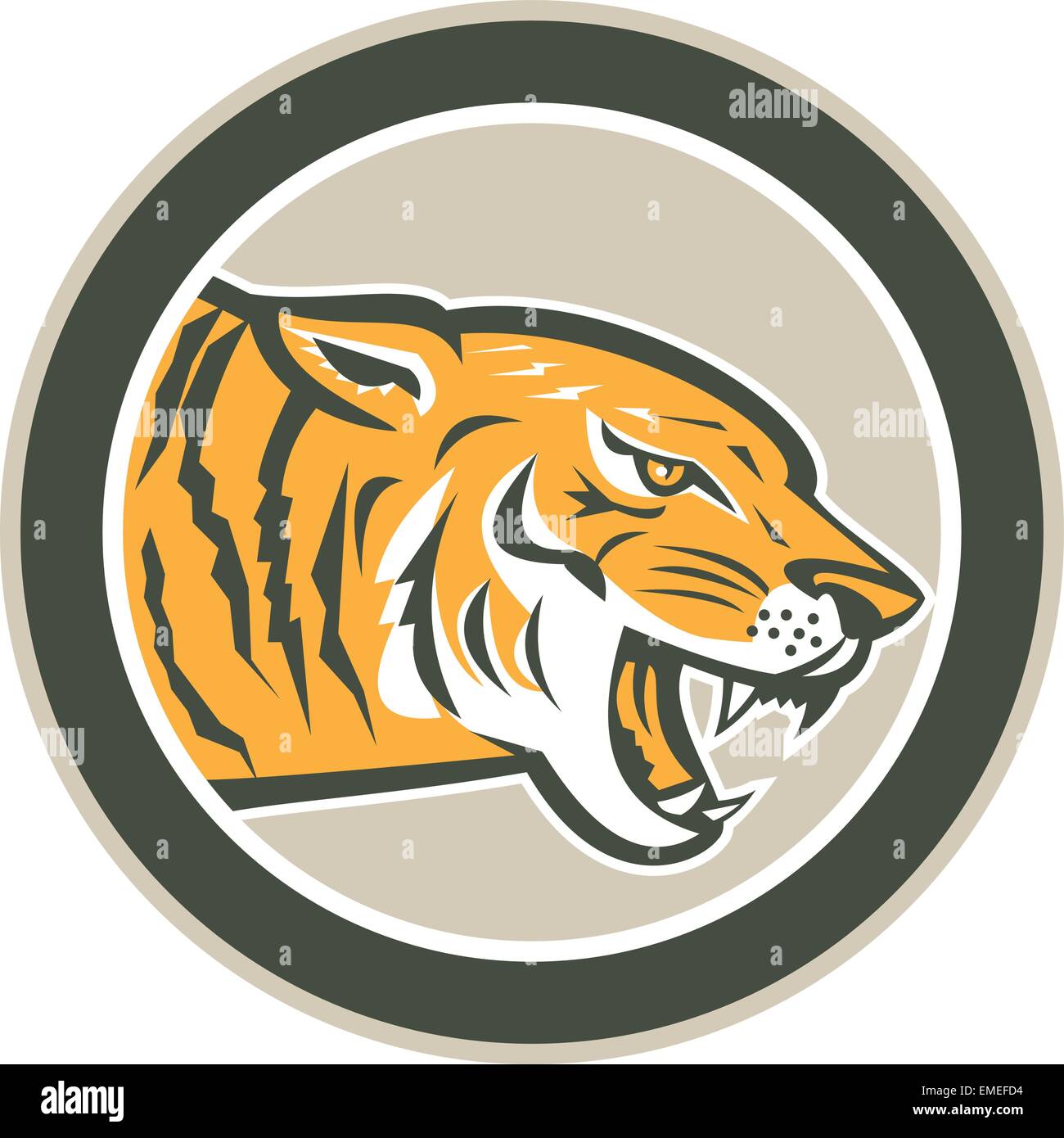 Tiger Circle