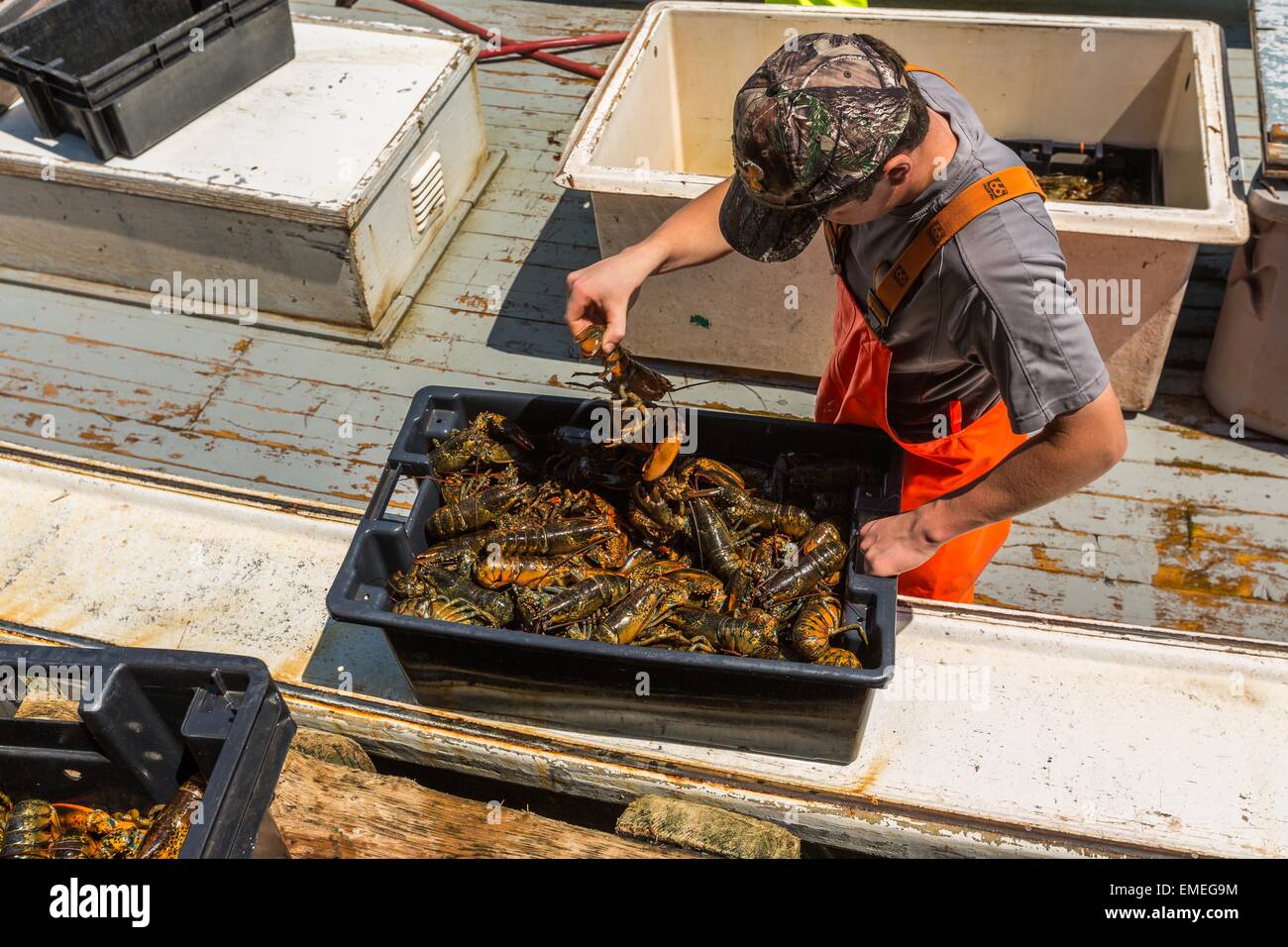 Wharf handling hi-res stock photography and images - Alamy