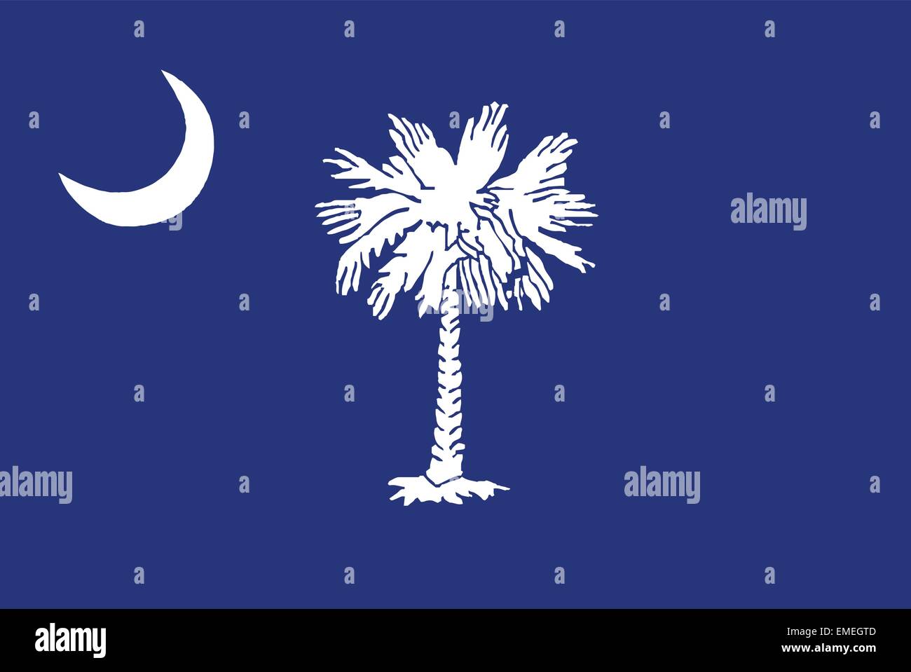South Carolina State Flag Stock Vector Image & Art - Alamy
