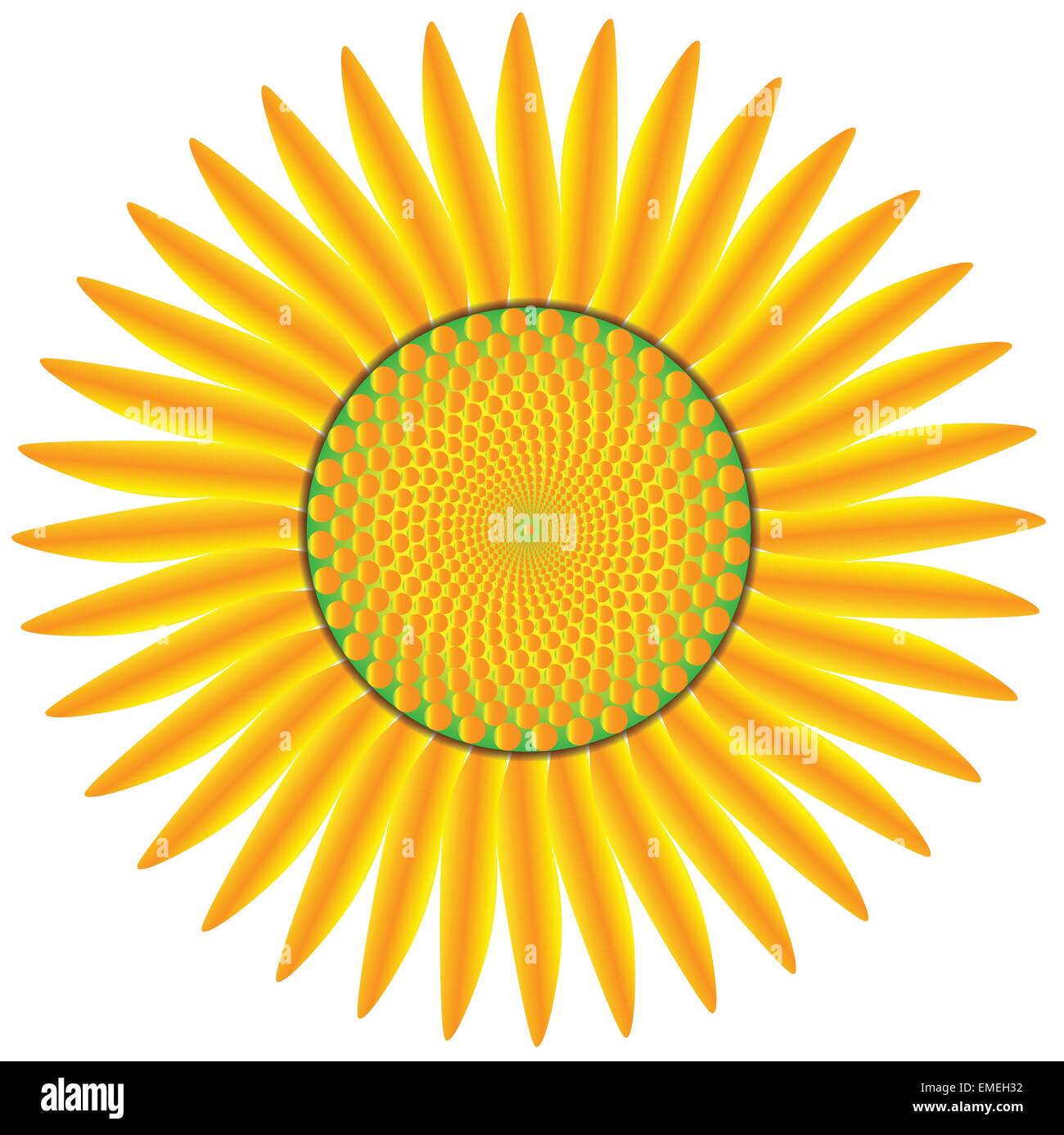 Sunflower leaf closeup Stock Vector Images - Alamy