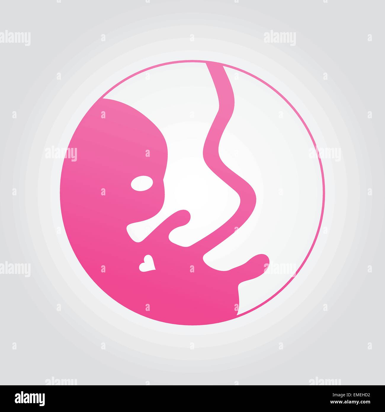 Human embryo hi-res stock photography and images - Alamy