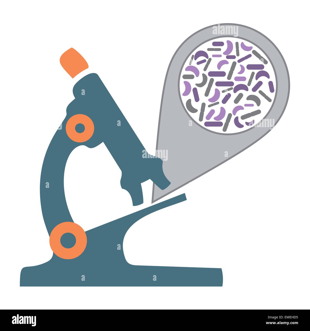 Microscope bacteria hi-res stock photography and images - Alamy