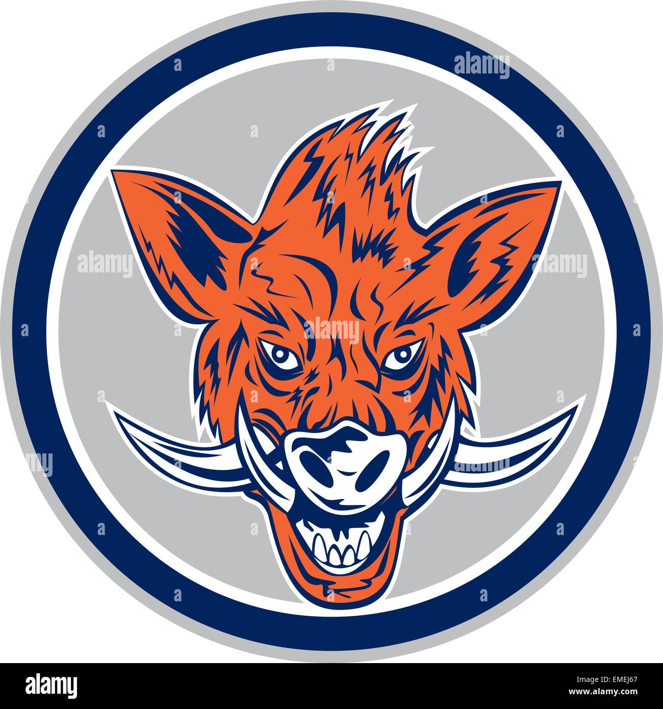 Razorback head hi-res stock photography and images - Alamy