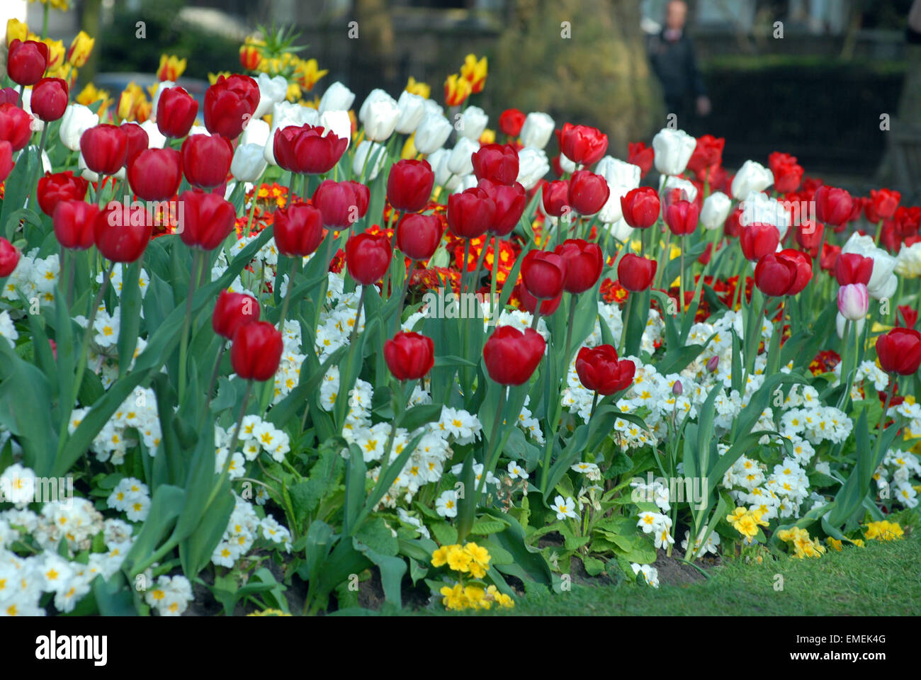 London, UK, 20 April 2015, Bright April sunshine brings to life the ...