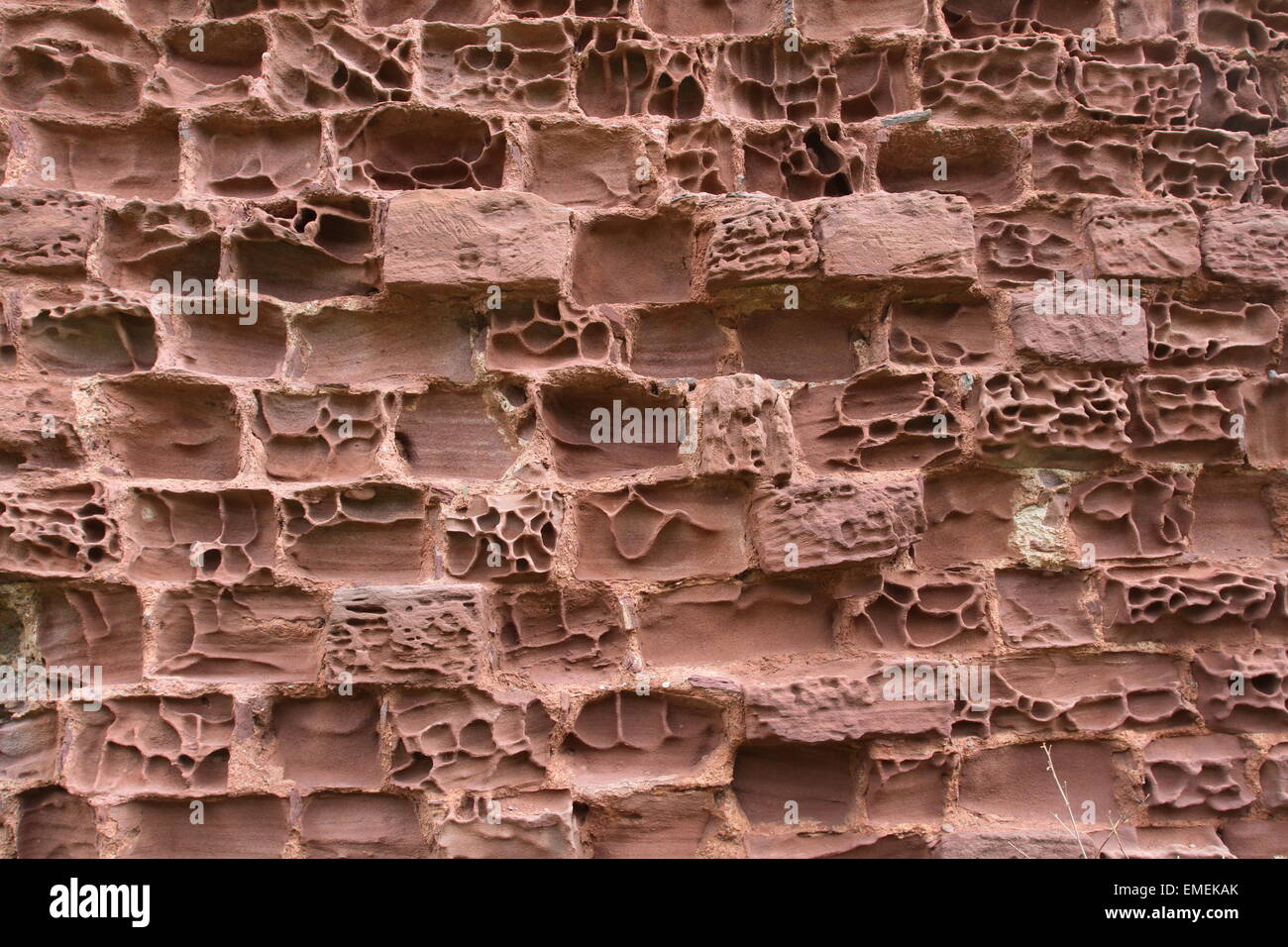 Red Castle wall detail Lunan Bay Angus Scotland April 2015 Stock Photo ...