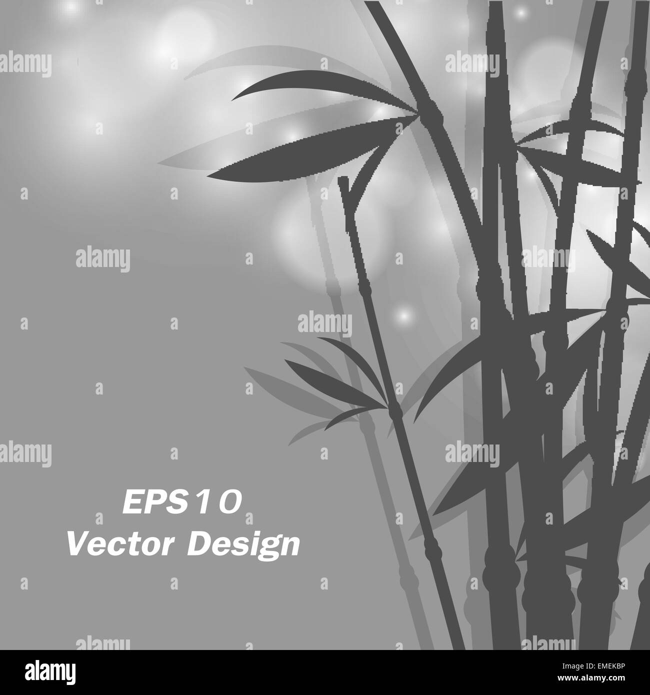 Summer plant nature background Black and White Stock Photos & Images - Alamy