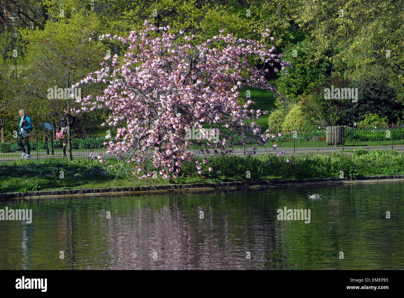 Blue is the warmest color hi-res stock photography and images - Alamy