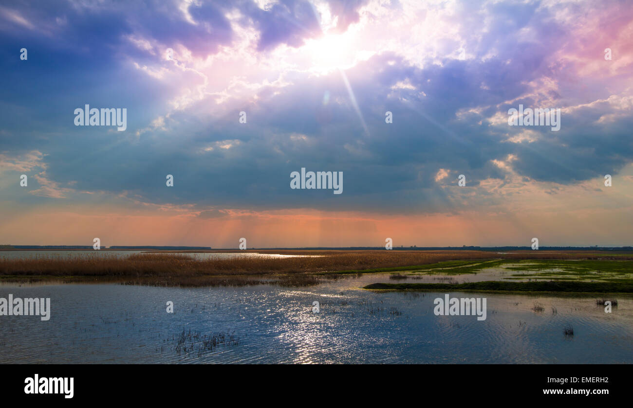 summer sunset over the tranquil lake Stock Photo - Alamy