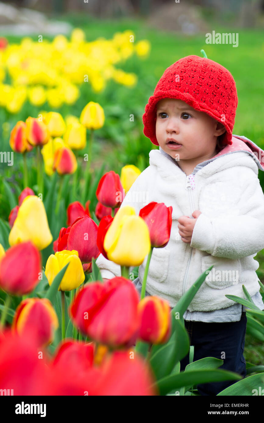 Tulip crying hi-res stock photography and images - Alamy