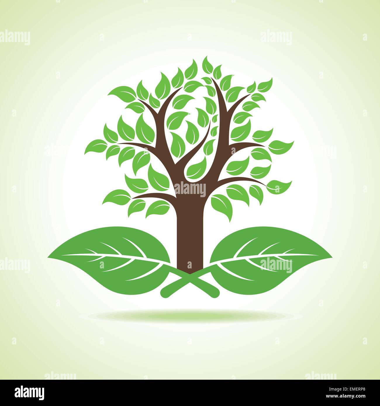 Tree leaf vector hi-res stock photography and images - Alamy