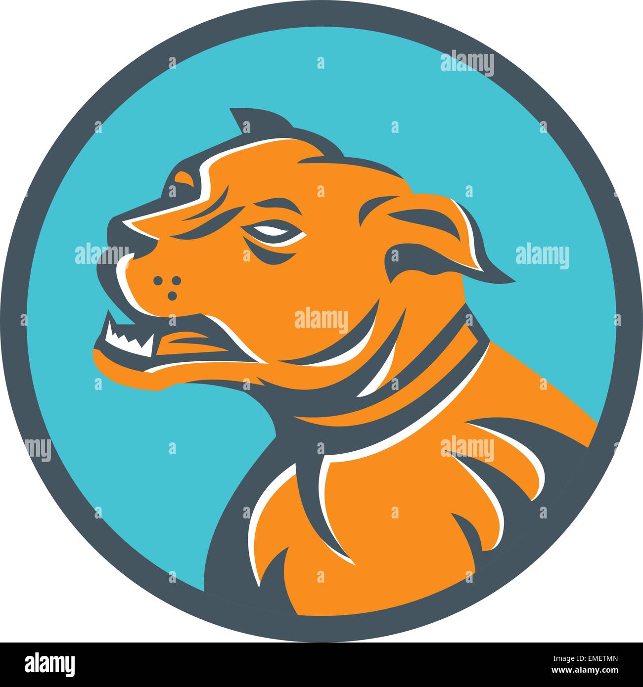 Angry mastiff hi-res stock photography and images - Alamy