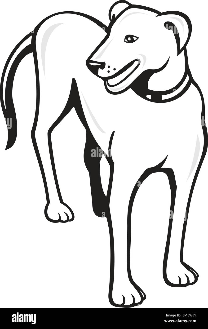 Dog Standing Front Cartoon Stock Vector Image & Art - Alamy