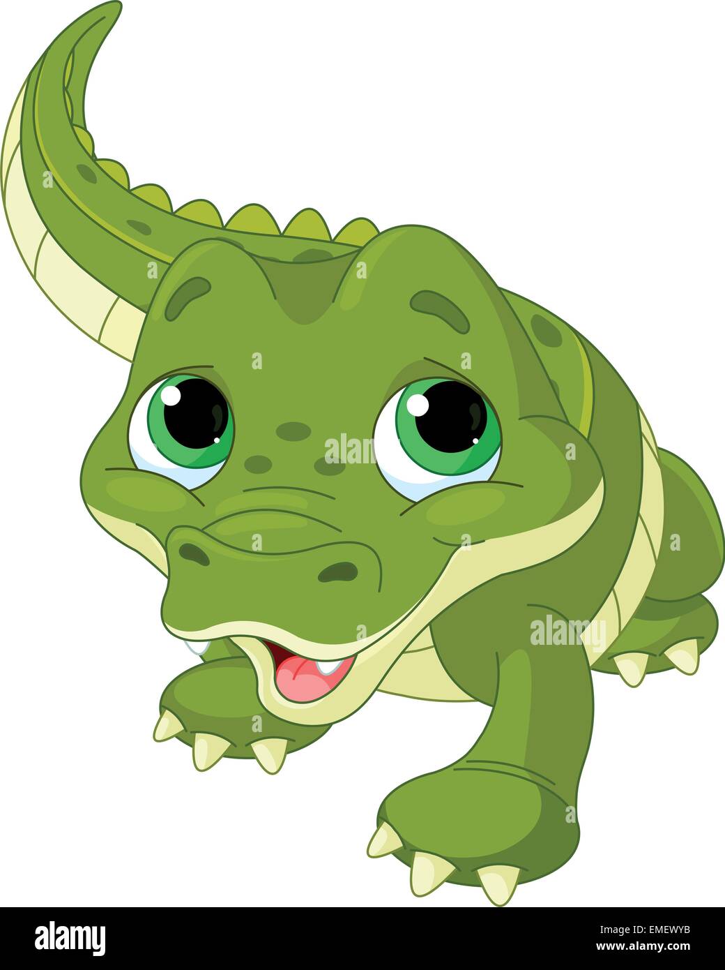 Young alligator Cut Out Stock Images & Pictures - Alamy