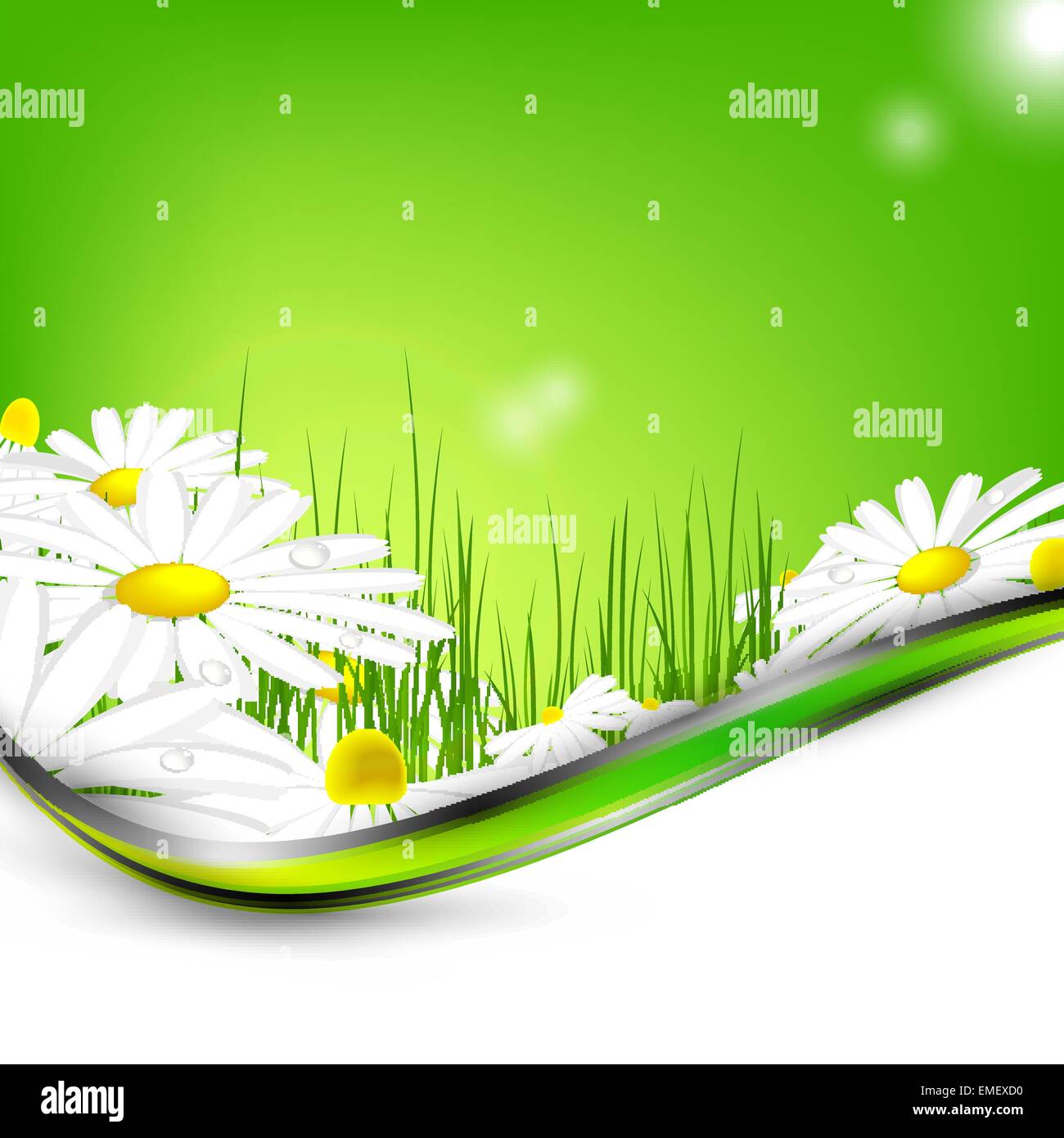 bright summer vector background Stock Vector Image & Art - Alamy