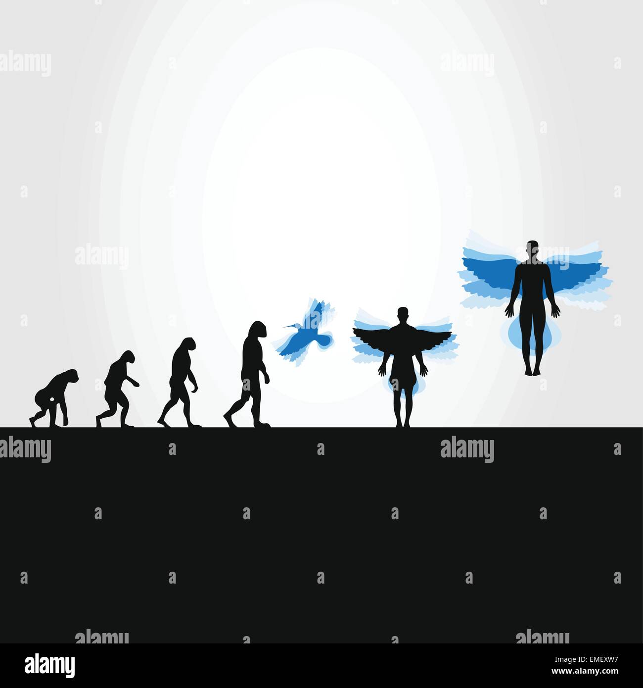 Evolution in a bird Stock Vector Image & Art - Alamy