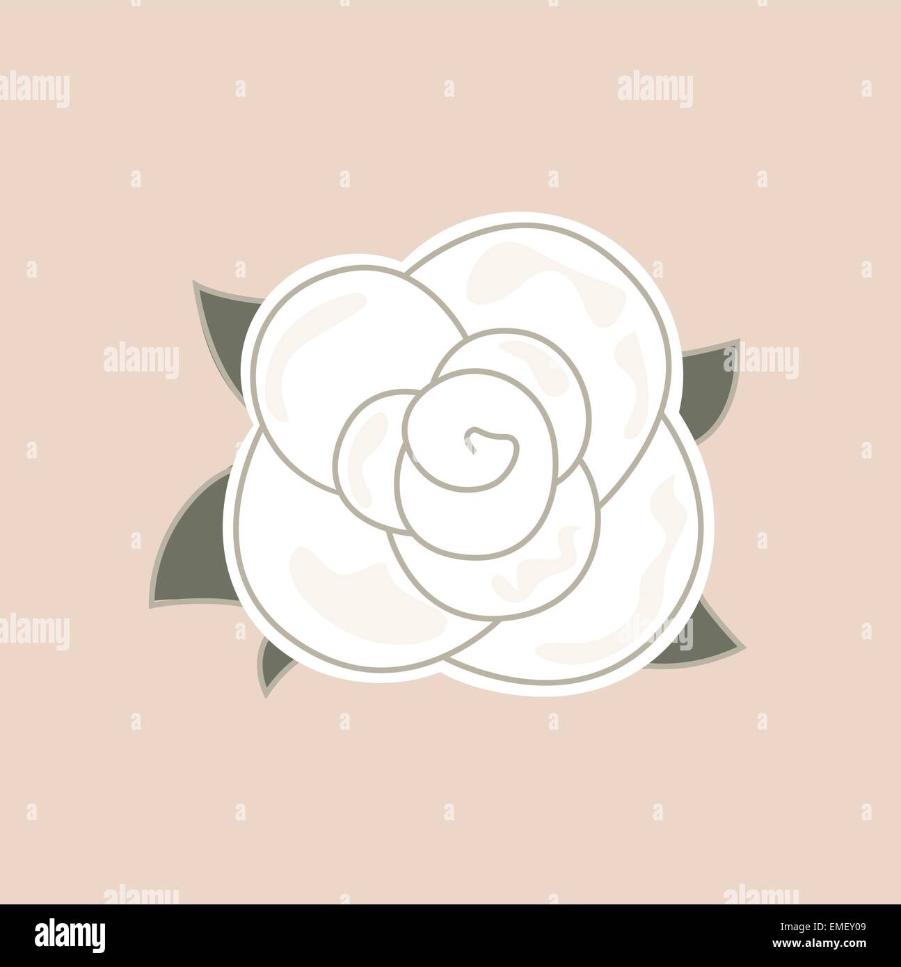 Beautiful vintage rose isolated on pale background Stock Vector Image ...