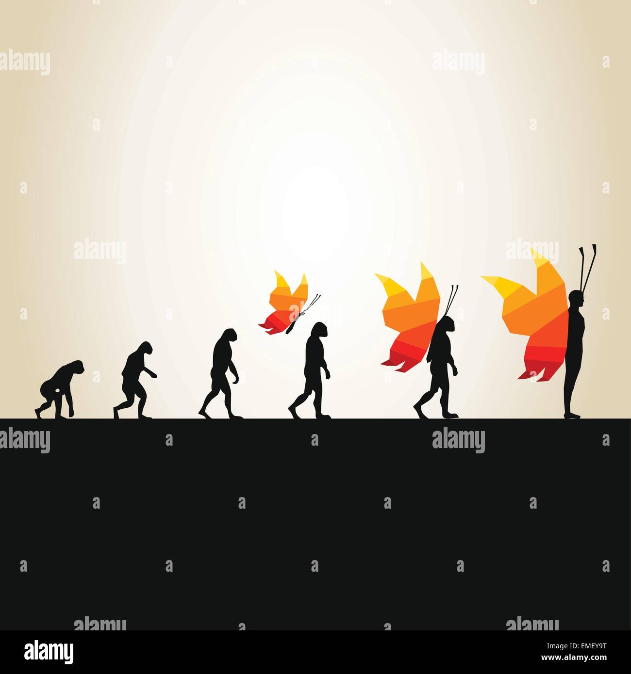 Evolution in the butterfly Stock Vector Image & Art - Alamy
